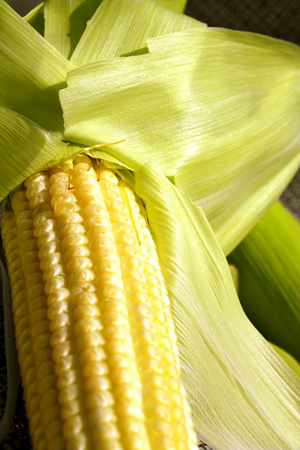 Portrait of an Artist: Chef Jason Hook | The Real Time Farms Blog